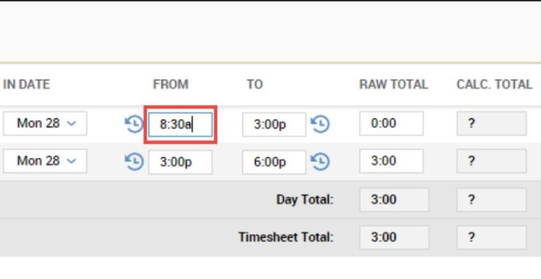 Editing Time Entries in Timesheets