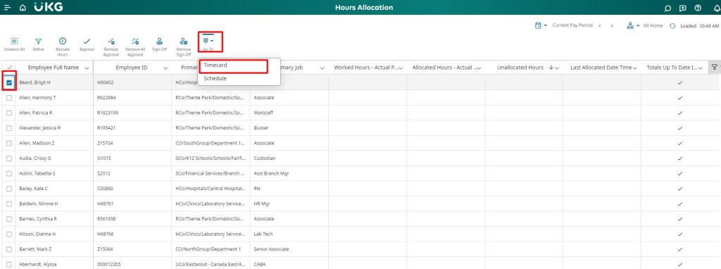 Understanding Pay Types/Pay Codes in UKG and Assign PayCodes to Employees for the Next Pay ...