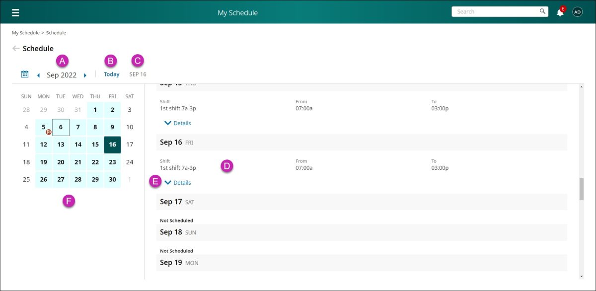 How to View Your Schedule in UKG Ready