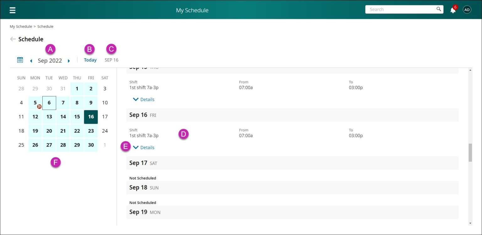 How to View Your Schedule in UKG Ready
